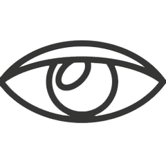 Neonode | Solutions | Driver Monitoring | Distraction Detection
